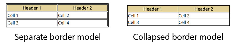 Html Border Collapse